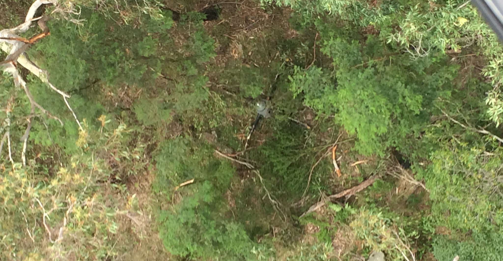 Missing SAAB 340 propeller from the Regional Express (Rex) located ...